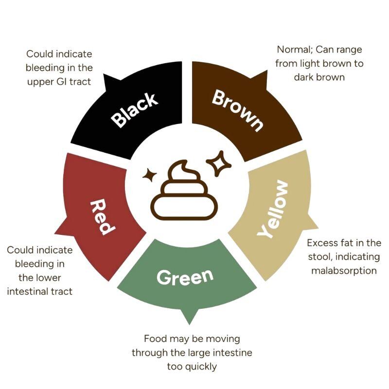 brownish yellow stool